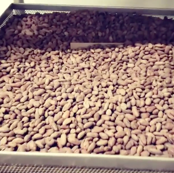 Boho Chocolate – BOHO Chocolate